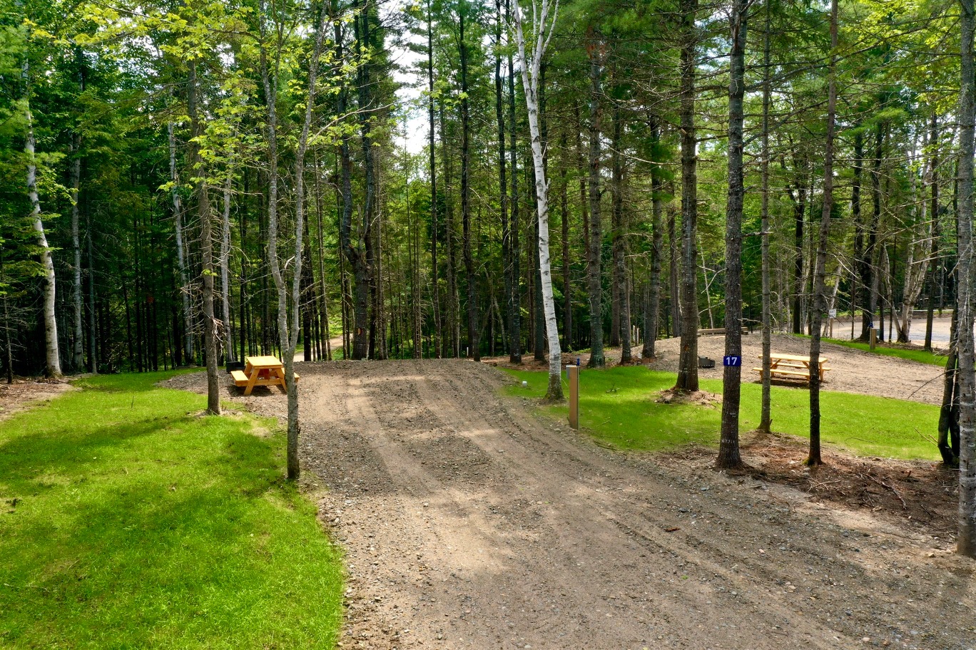 Nature's Nest Camping